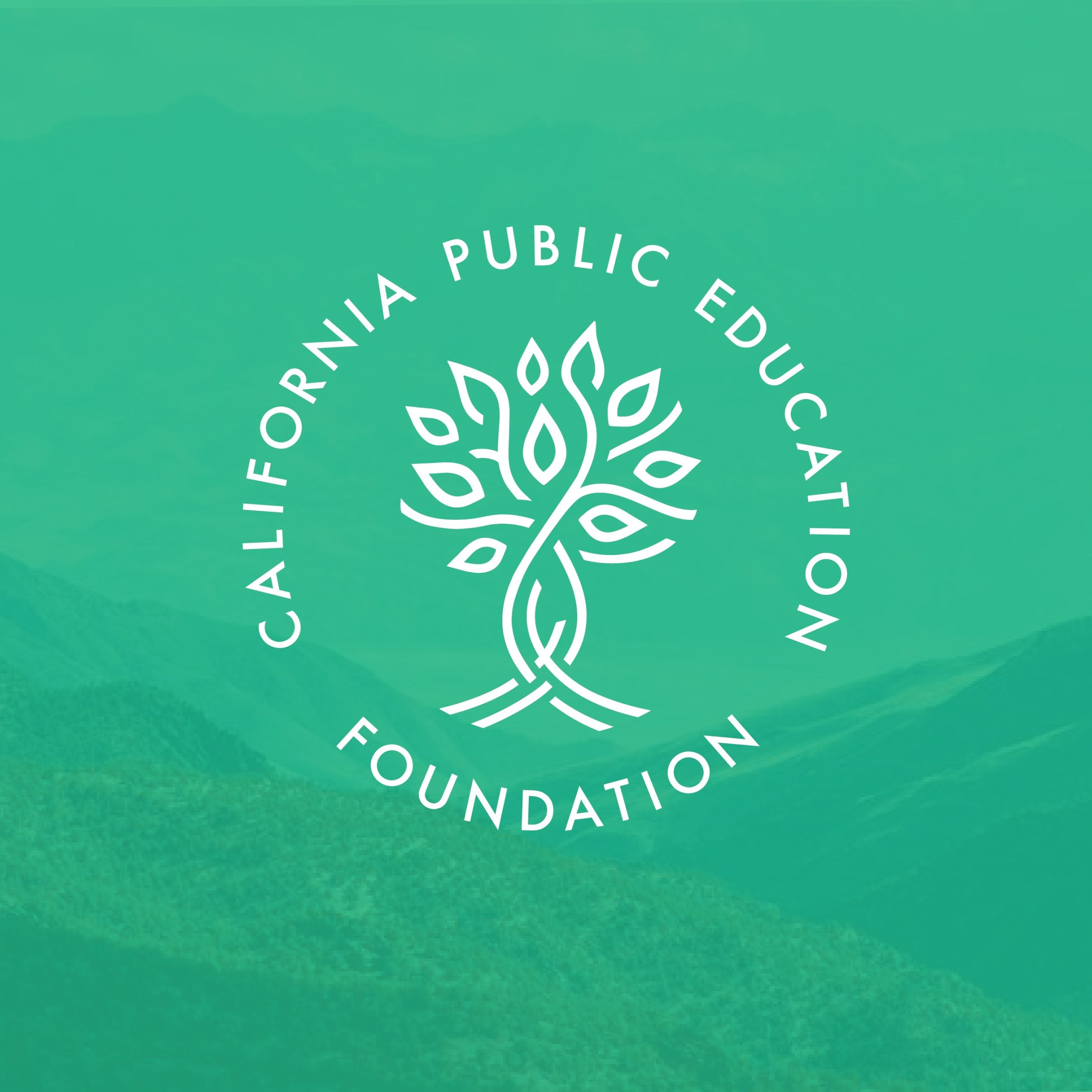 California Public Education Foundation – Buttonwood Creative Co / Brand ...